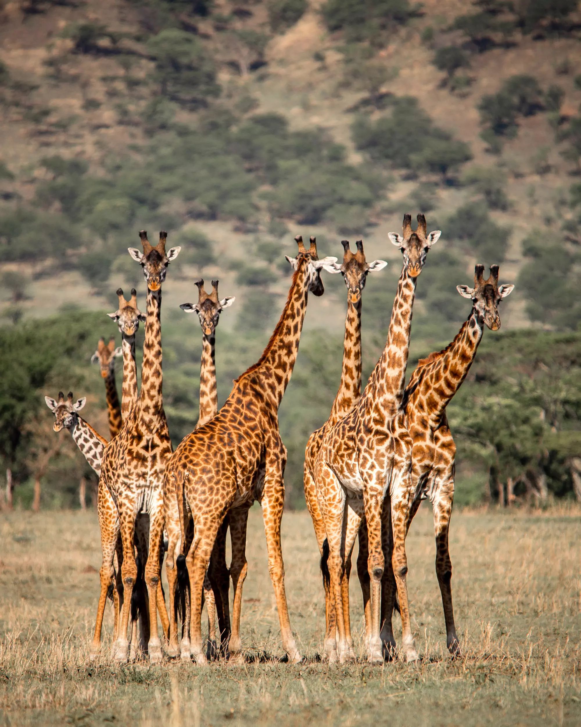 About Us - Eila Travel